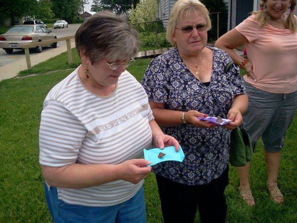 Monarch Butterfly Information and Monarch Butterfly Release Packages ...